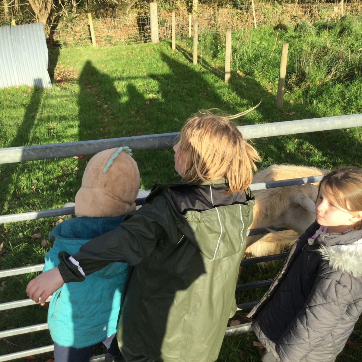 Beaford Community Primary - Lilcott Farm Adventures